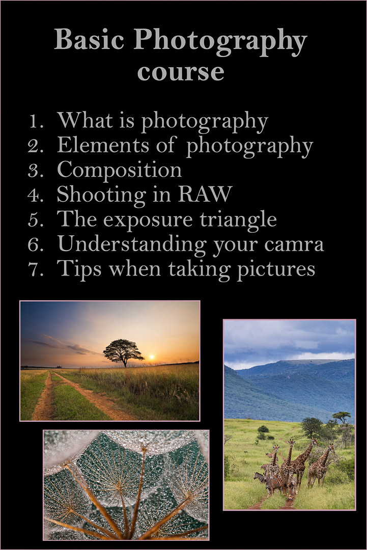Courses – Alta Oosthuizen Photography